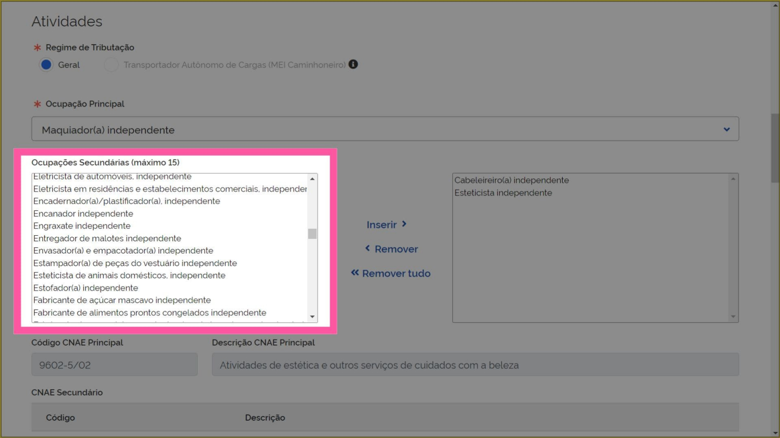 CNAE: como incluir a atividade econômica correta no seu MEI ou ME para emitir notas na ...