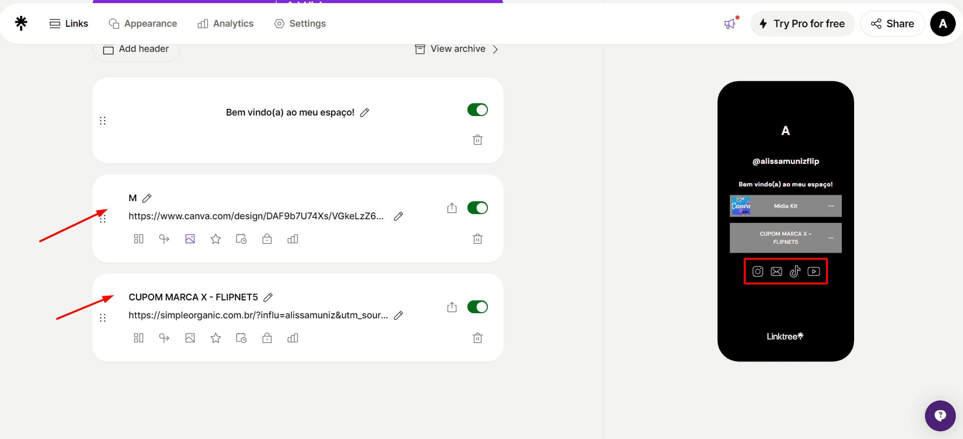 Como monetizar suas redes sociais usando o Linktree e o Flipnet - Flip.net